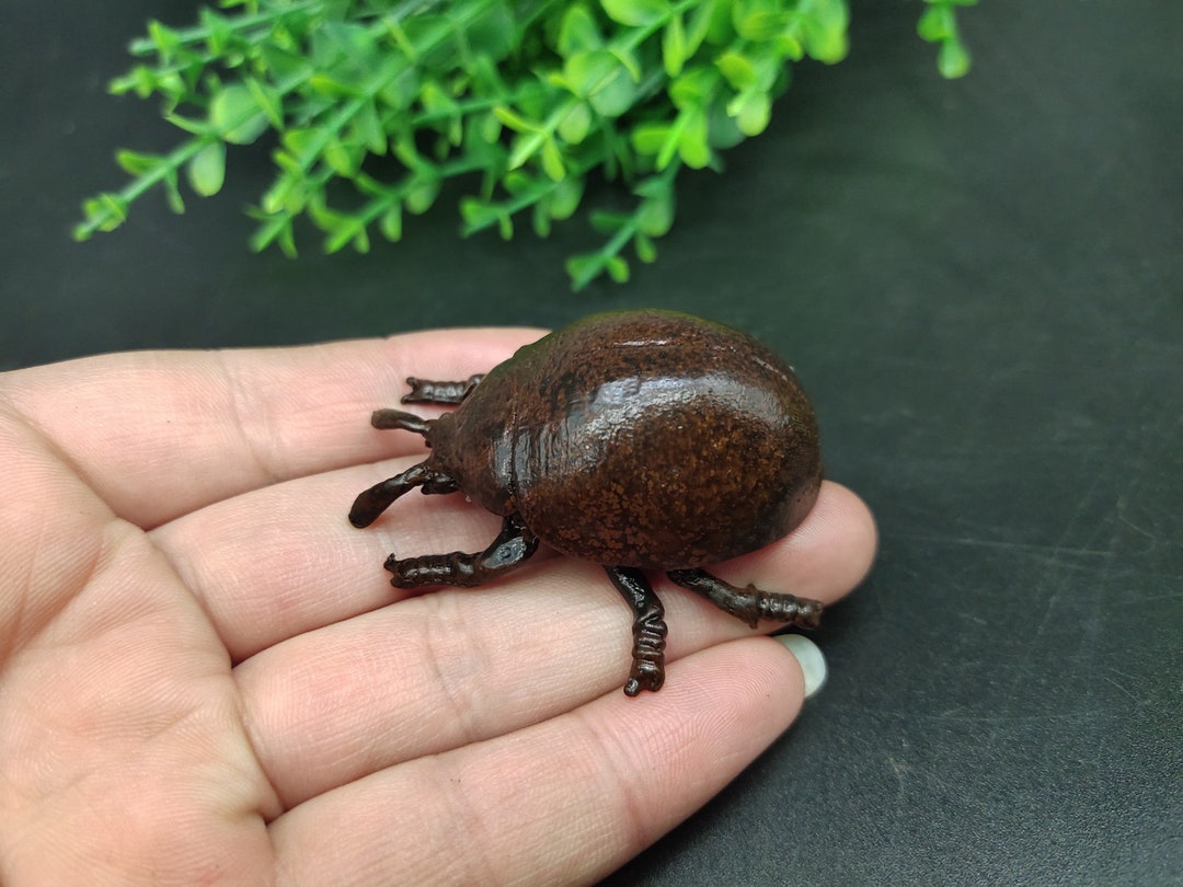 Beetle Tea Ceremony Tea Art Copper Ornaments - Etsy