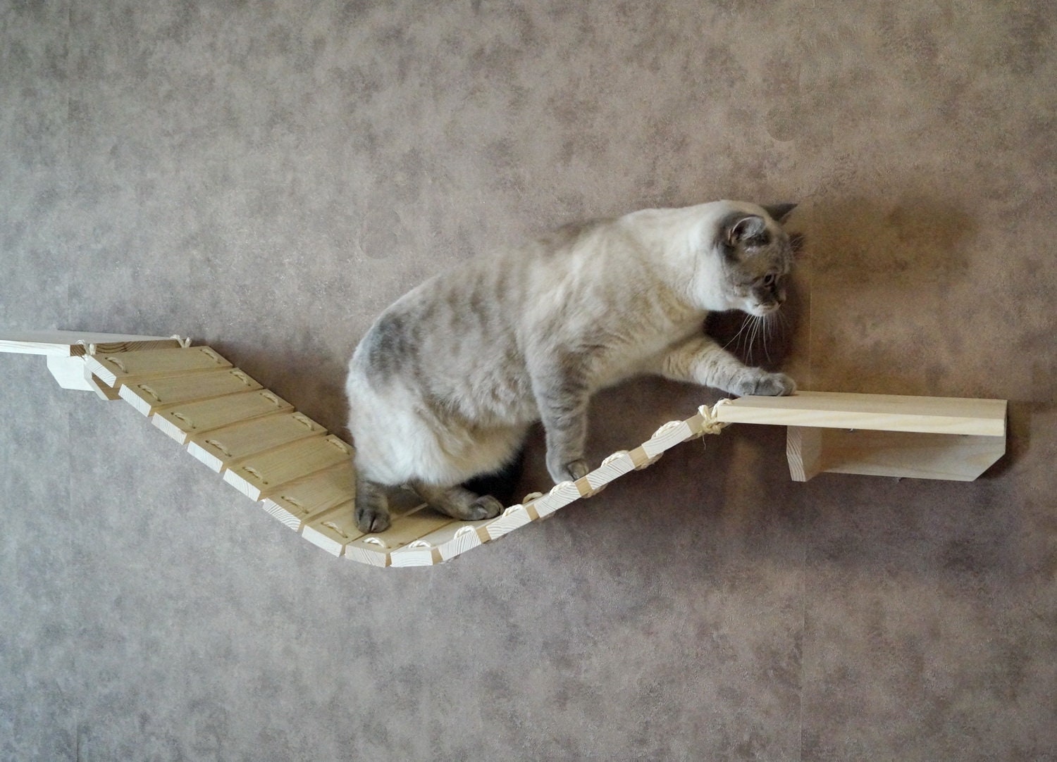 Wall mounted cat bridge from natural wood with Cat wall | Etsy