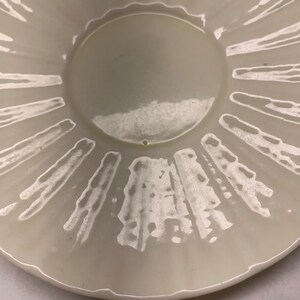 Belleek Black Mark Neptune Tea Cup and Saucer - Etsy