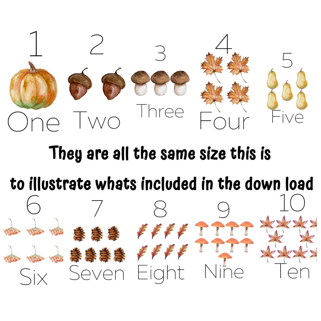 Autumn Number Flash Cards, Digital Download, Educational, Printable ...