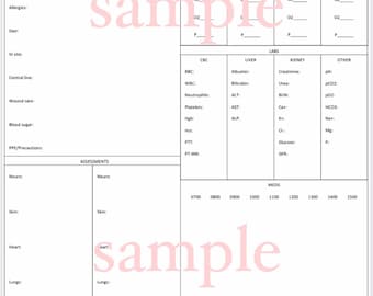 Nursing Clinical Instructor Report Sheet Edition of That Nursing Worksheet Nurse Educator Bundle ...