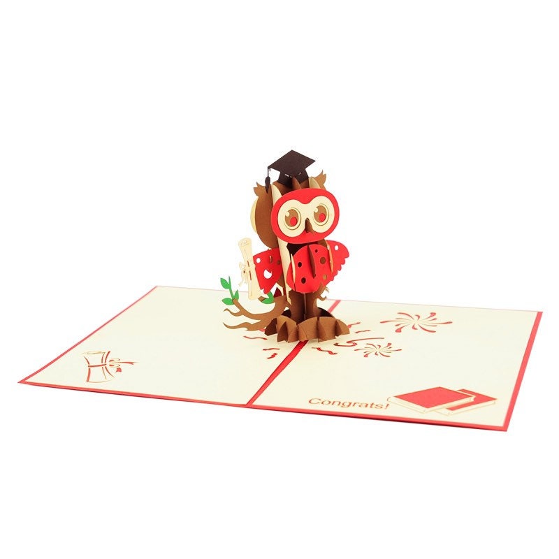 Graduation Owl Pop up Card Congrats Greeting Card Funny - Etsy