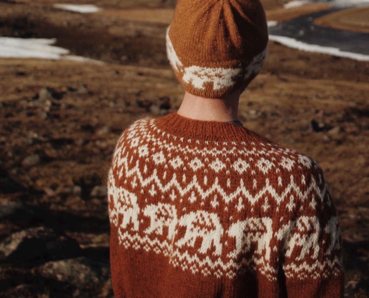 Icelandic Sweater Narnia,polar White Bear Print Pure Lettlopi Wool ...