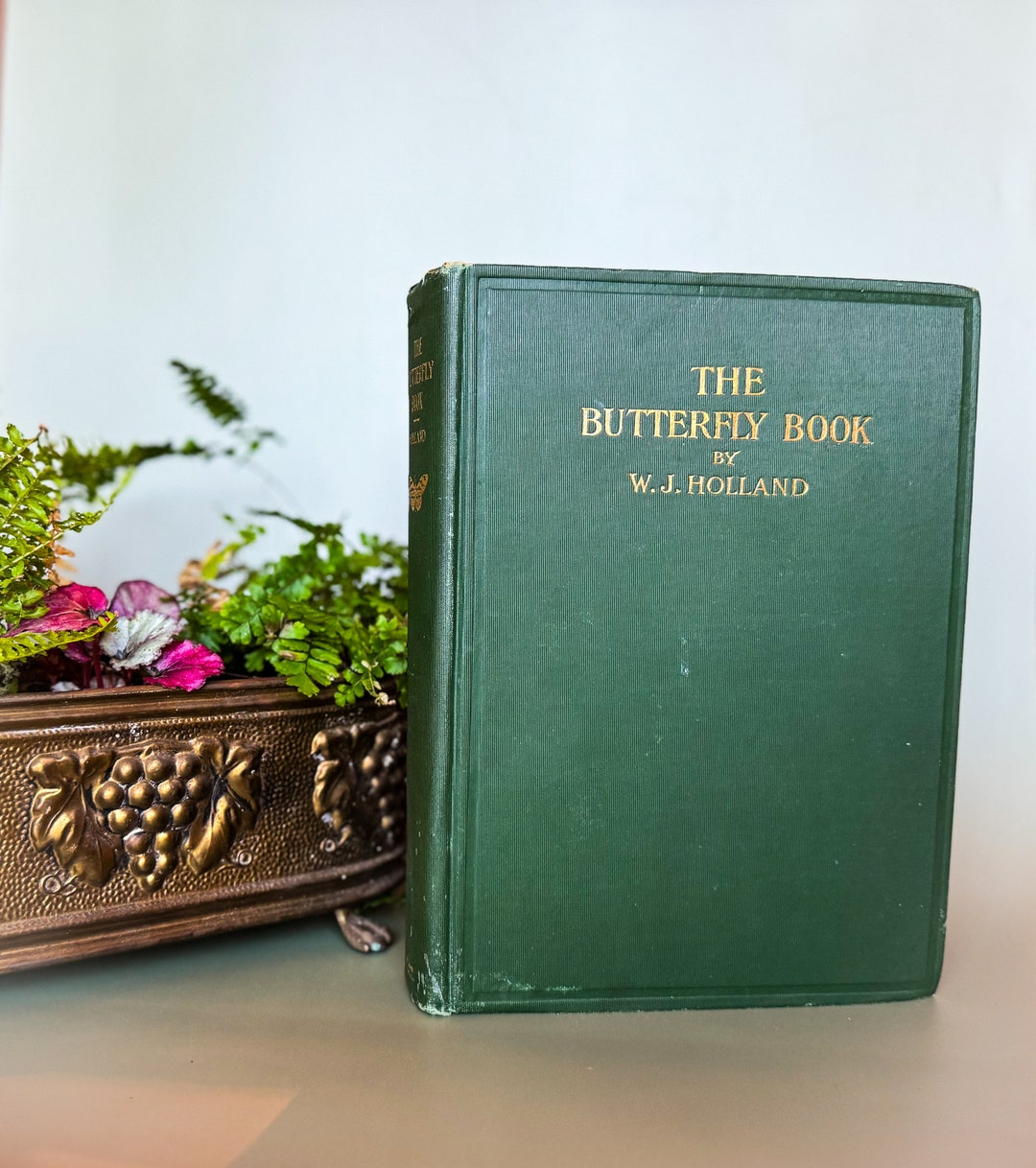 Antique "butterfly Book" by W.J. Holland, 1899 Edition: Entomology With ...