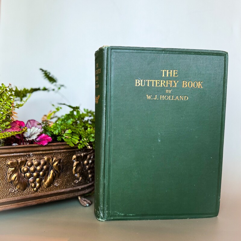 Antique Entomology - Etsy