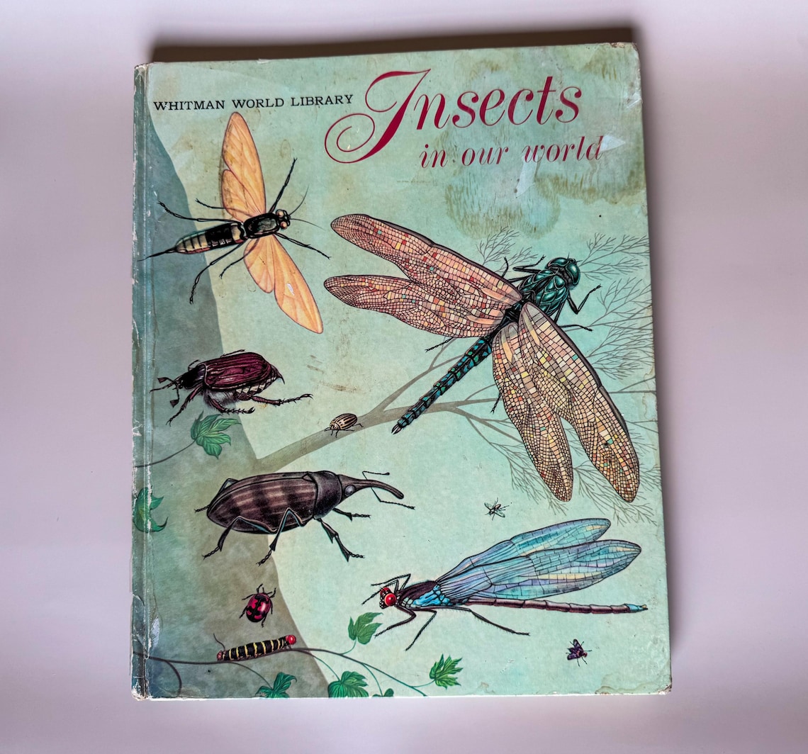 Vintage Copy of Insects in Our World Childrens Book on Entomology ...