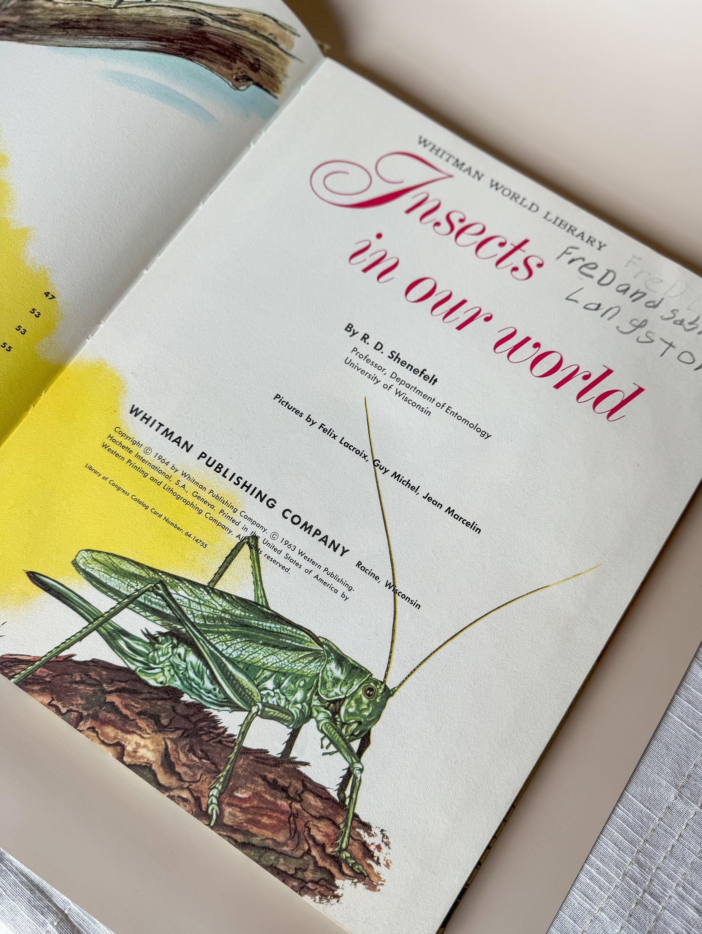 Vintage Copy of Insects in Our World Childrens Book on Entomology ...