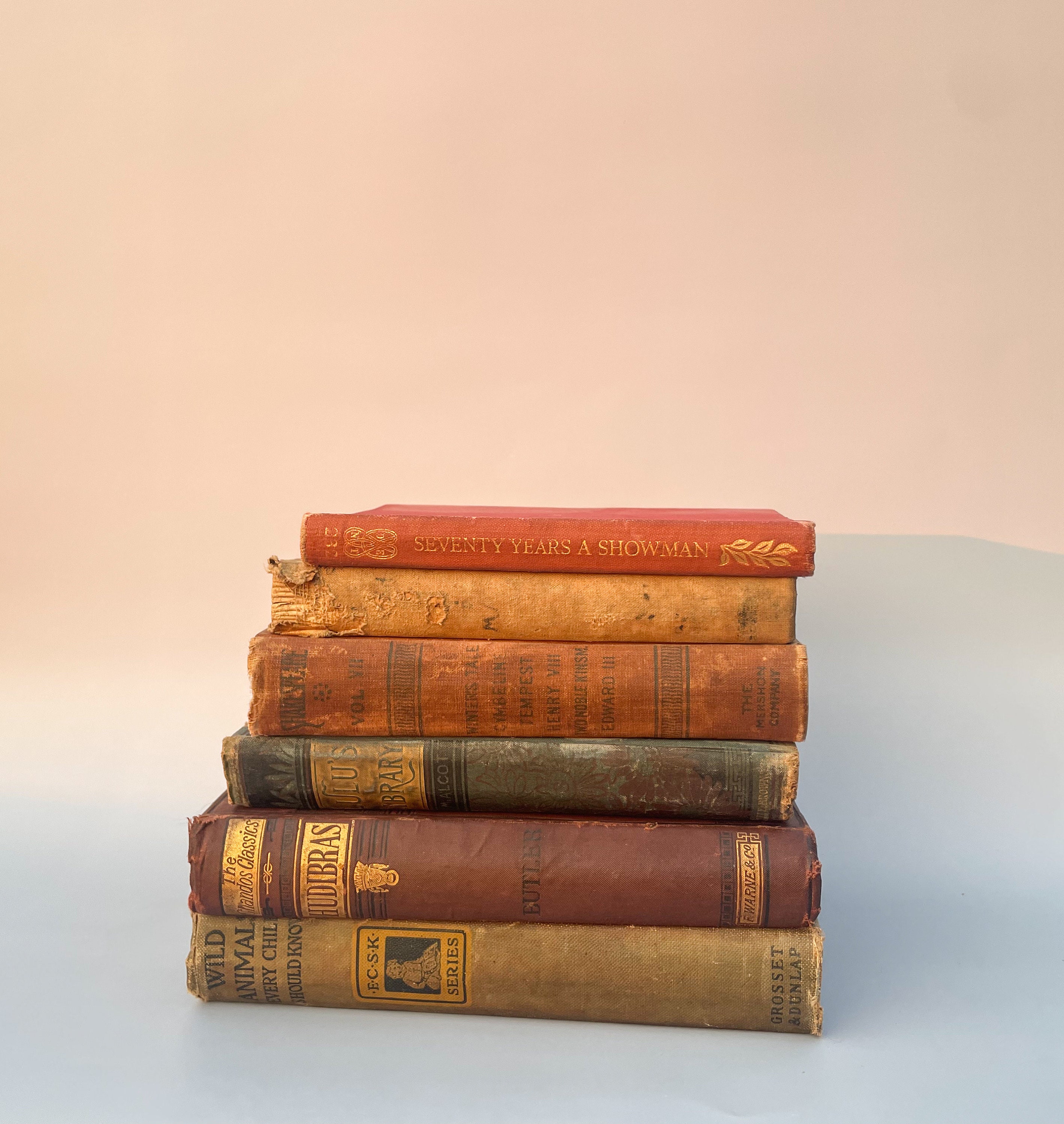 Antique Books With Gold Leaf Decorative Books for Display Books for ...