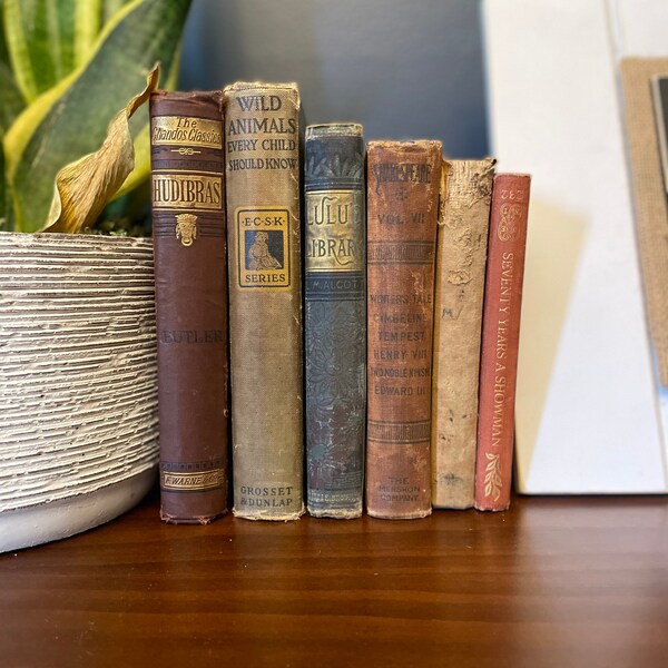 Antique Book Bundle - Etsy