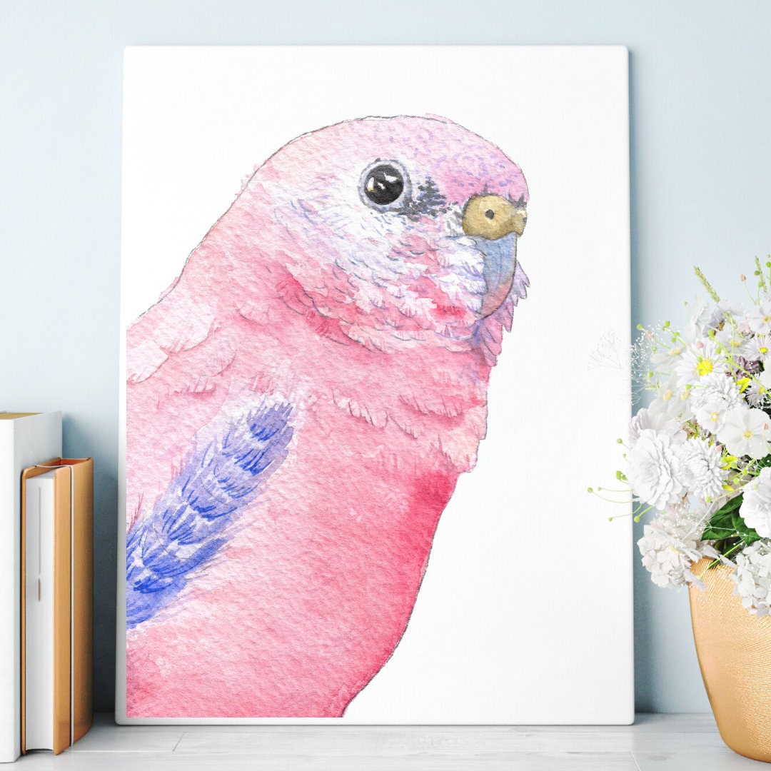 Portrait of a Pink Bourke's Parakeet in Watercolor Original - Etsy