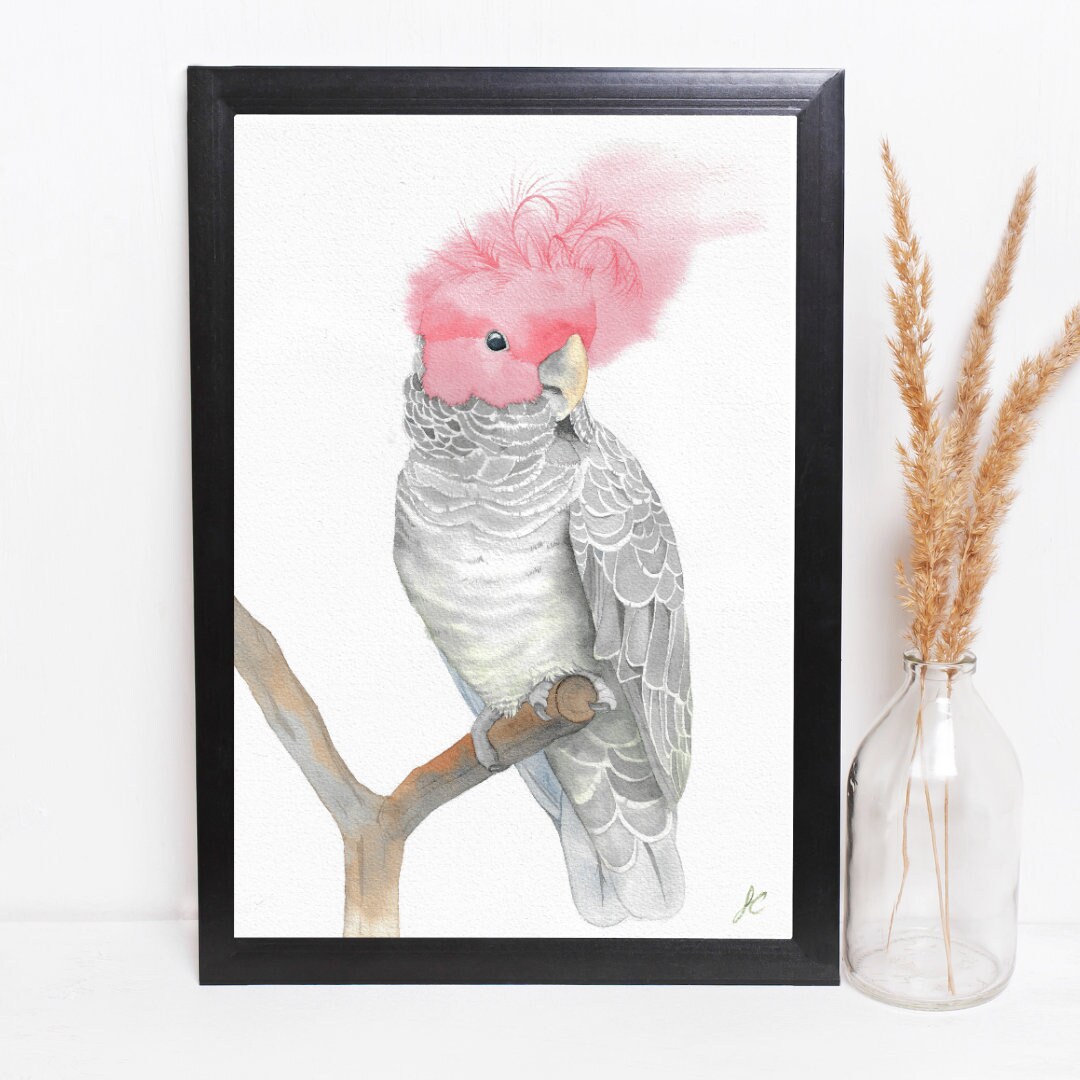 Red-headed Cockatoo Watercolor Portrait - Original - Etsy