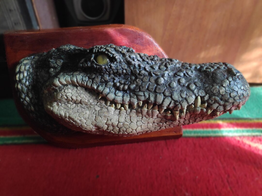 Sculpture Raptor, Lizard Predator on the Wall, Stuffed Dinosaur With ...