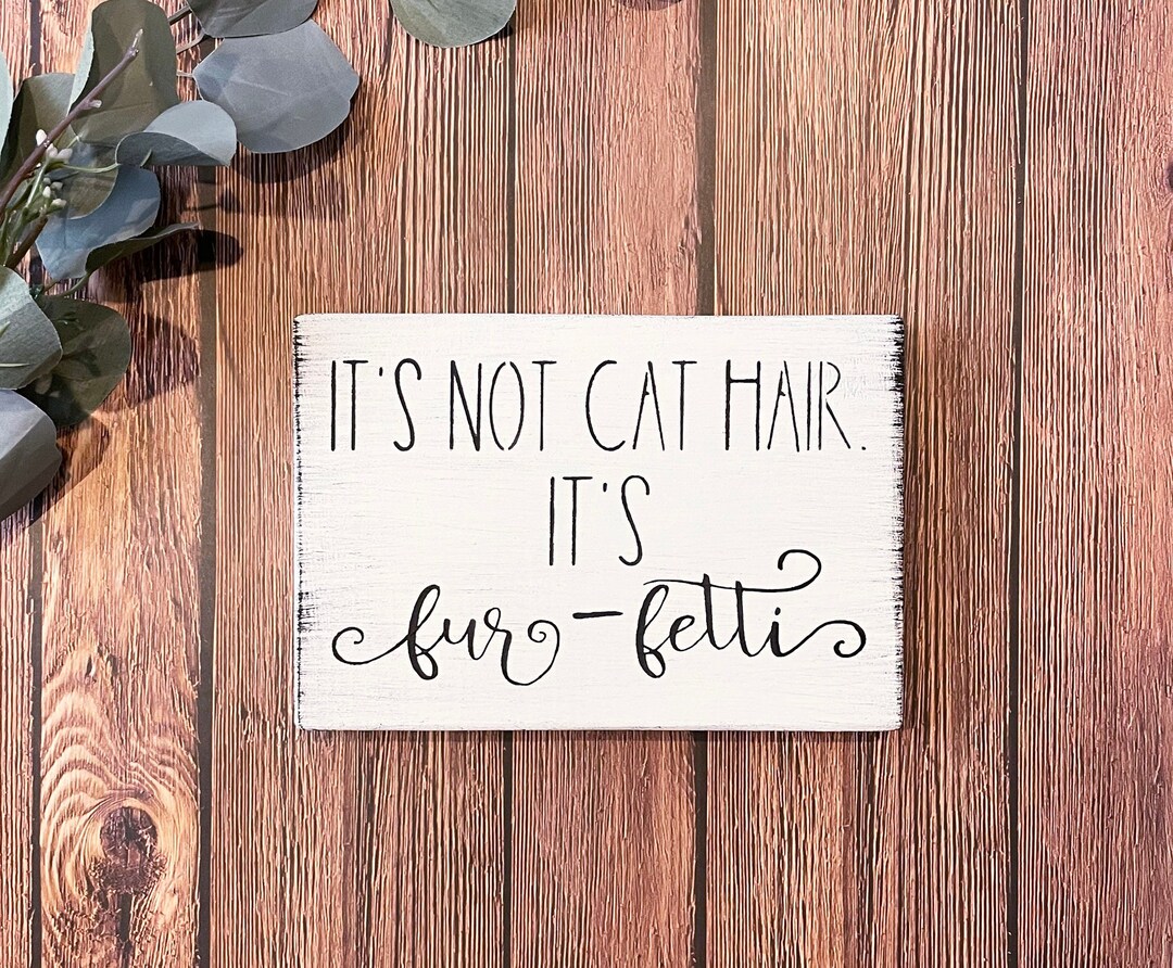 Its Not Cat Hair Its Fun Fetti Funny Cat Signs for Home, Cute Cat ...