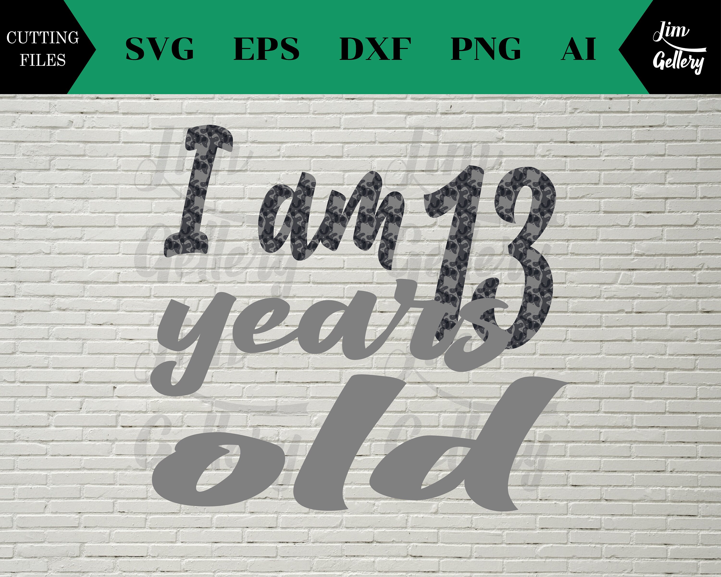 I Am 13 Years Old Svg File for Cricut Great for Tshirt Sign | Etsy