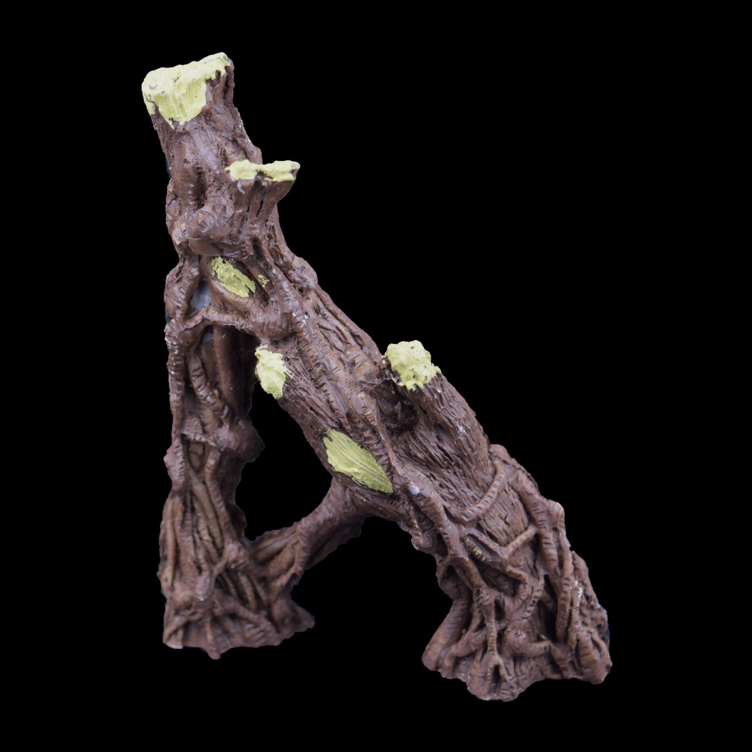 Root Covered Tree - Etsy