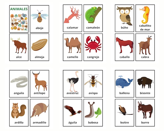 Spanish Speaking Animals