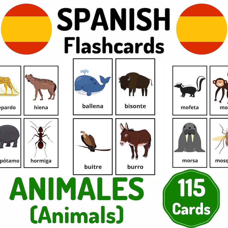 Animal Flash Cards - Etsy