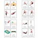 64 Spanish Sports Vocabulary Flashcards - Learning Spanish - Homeschool ...