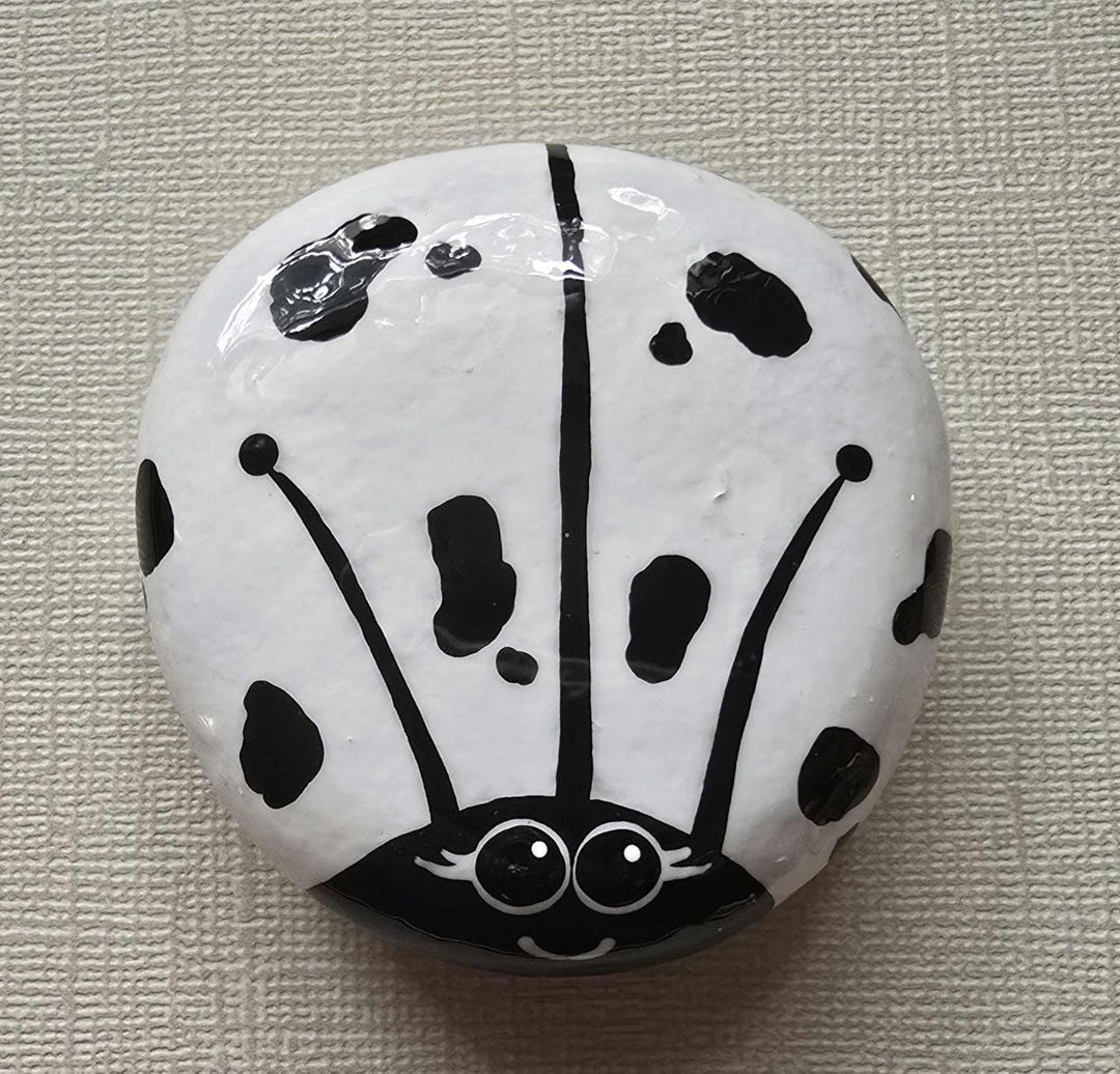 Cow Print Ladybug Painted Rock - Etsy