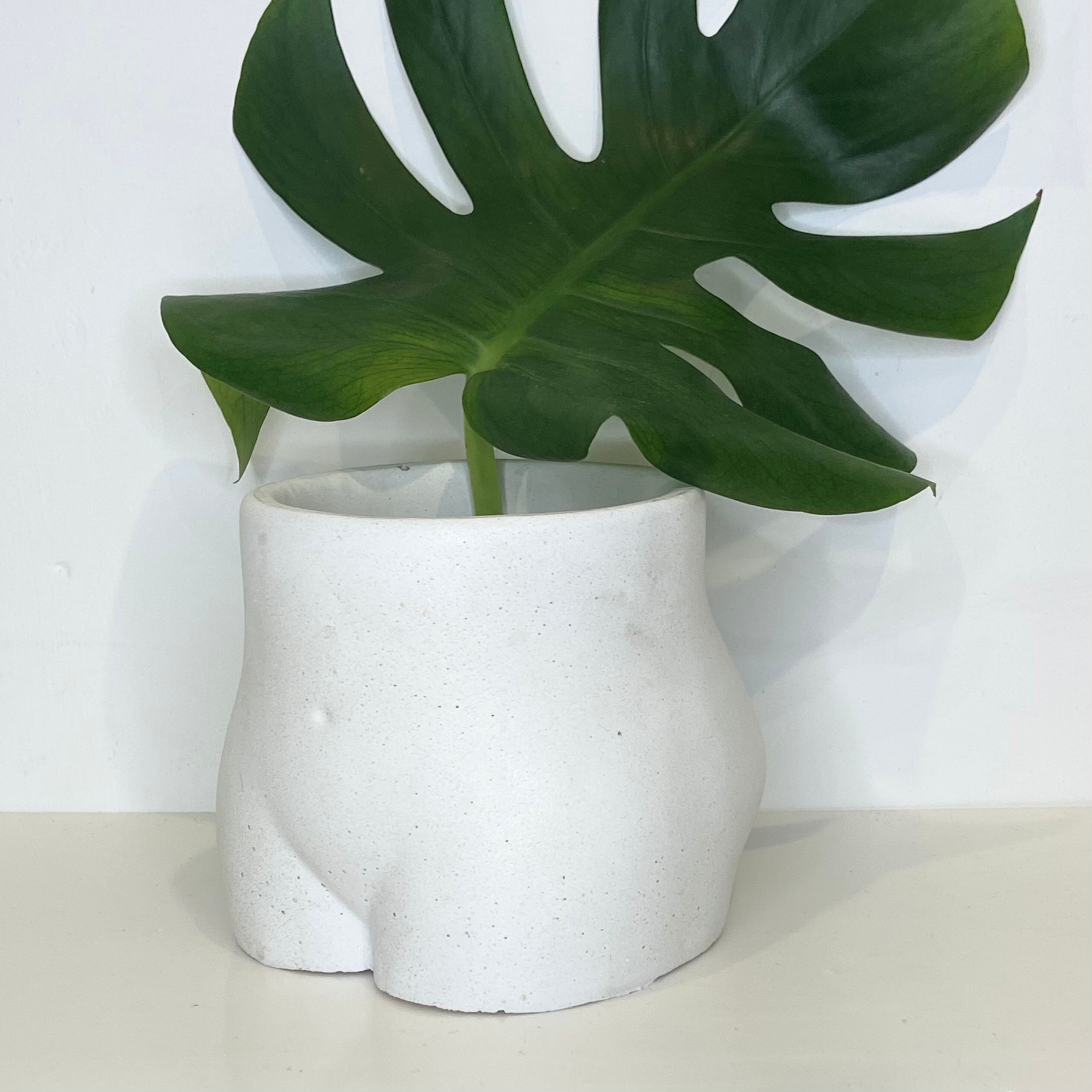 Concrete Bum Plant Pot / Booty / Bottom /houseplant Pot / - Etsy UK