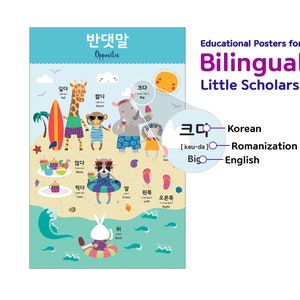 Korean-english Educational Posters: Set of 17, Bilingual Decor ...