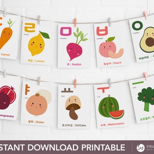 Printable Korean Fruit+vegetable Flashcards Bundle | Korean Hangul 한글 ...