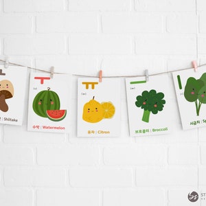 Printable Korean Fruit+vegetable Flashcards Bundle | Korean Hangul 한글 ...