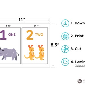 Printable Animal Number Flashcards 123 Flashcards Kindergarten ...