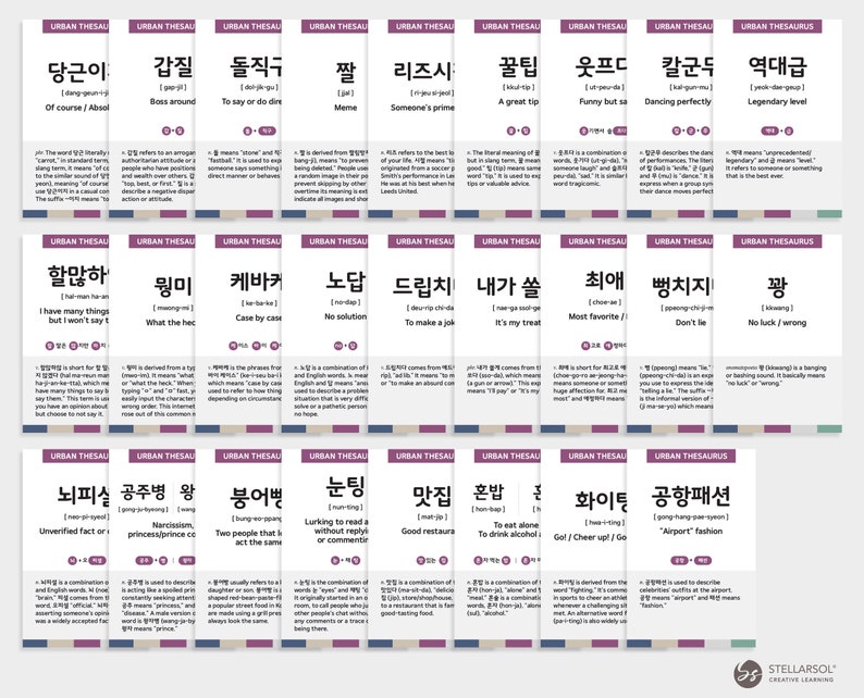 PRINTED Korean Slang Flashcards Hangul 110 속어 은어 Essential - Etsy