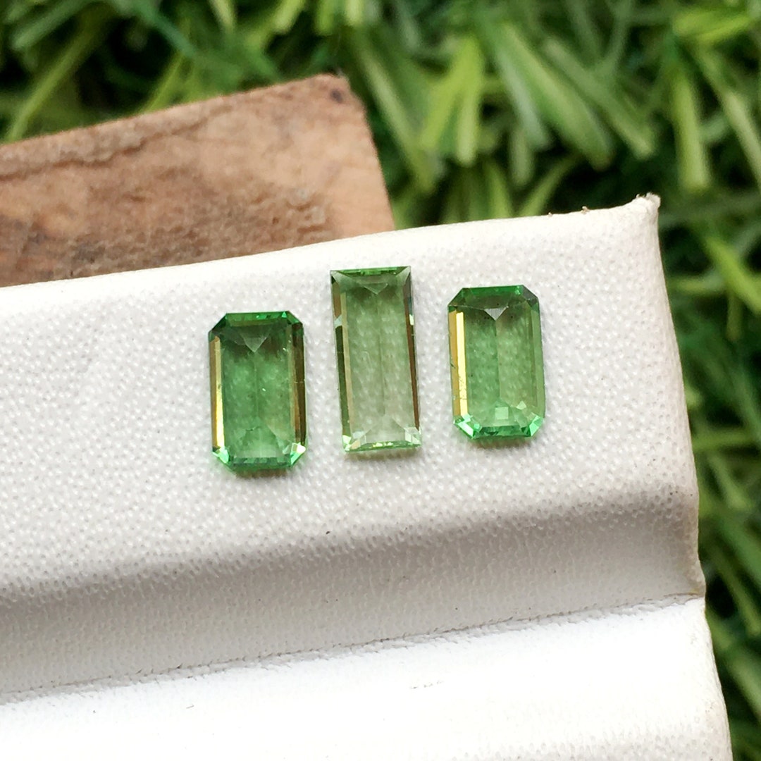 3 Piece Rare Tsavorite Garnet, Rectangle Bi - Colour Green Garnet ...
