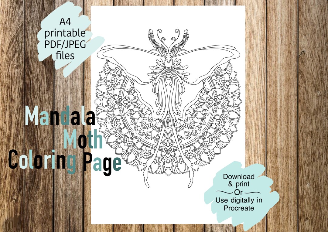Mandala Moth Coloring Page - Etsy