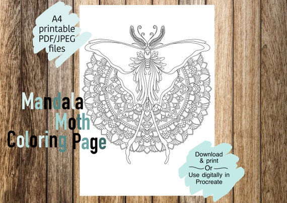 Mandala Moth Coloring Page - Etsy