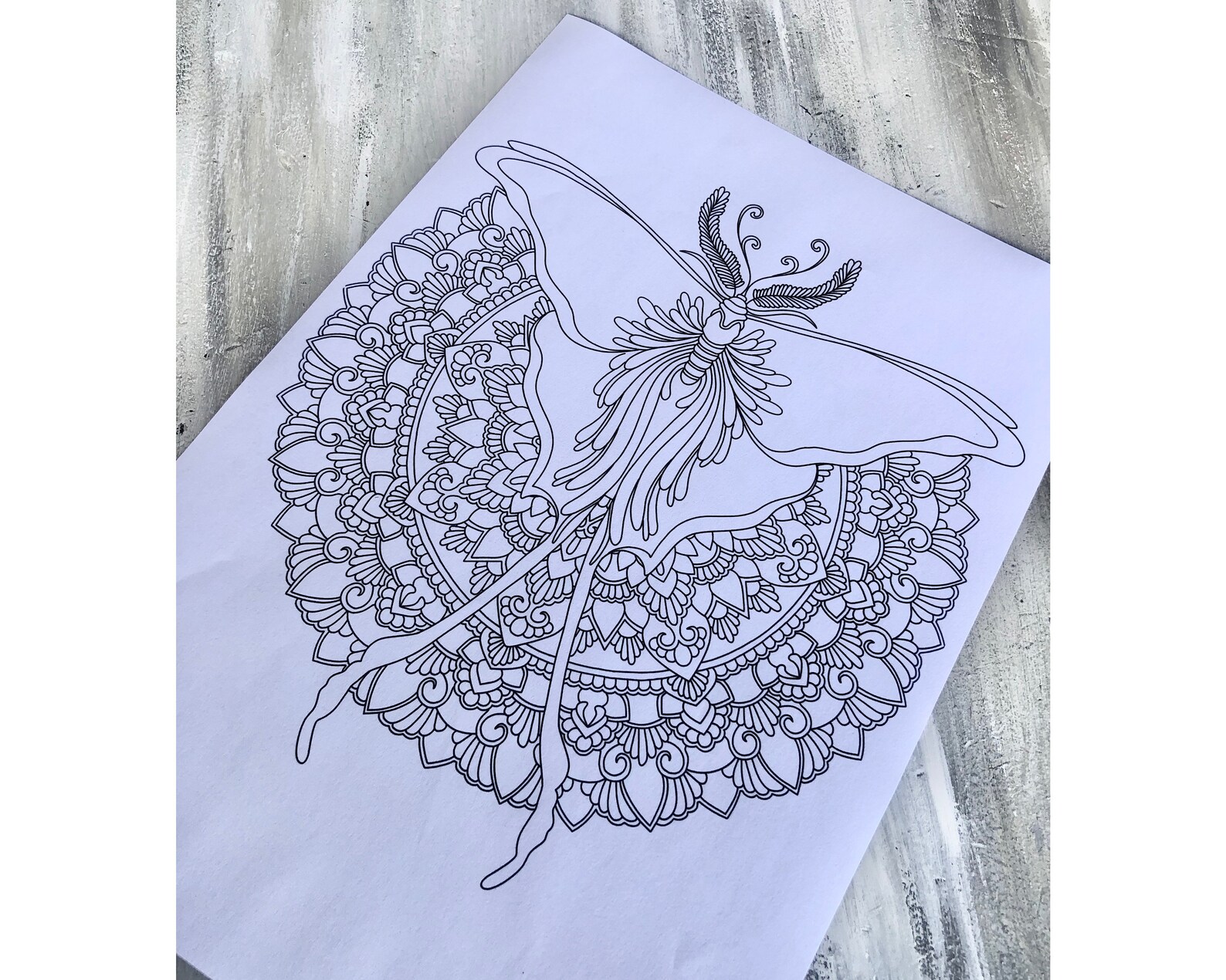 Mandala Moth Coloring Page - Etsy