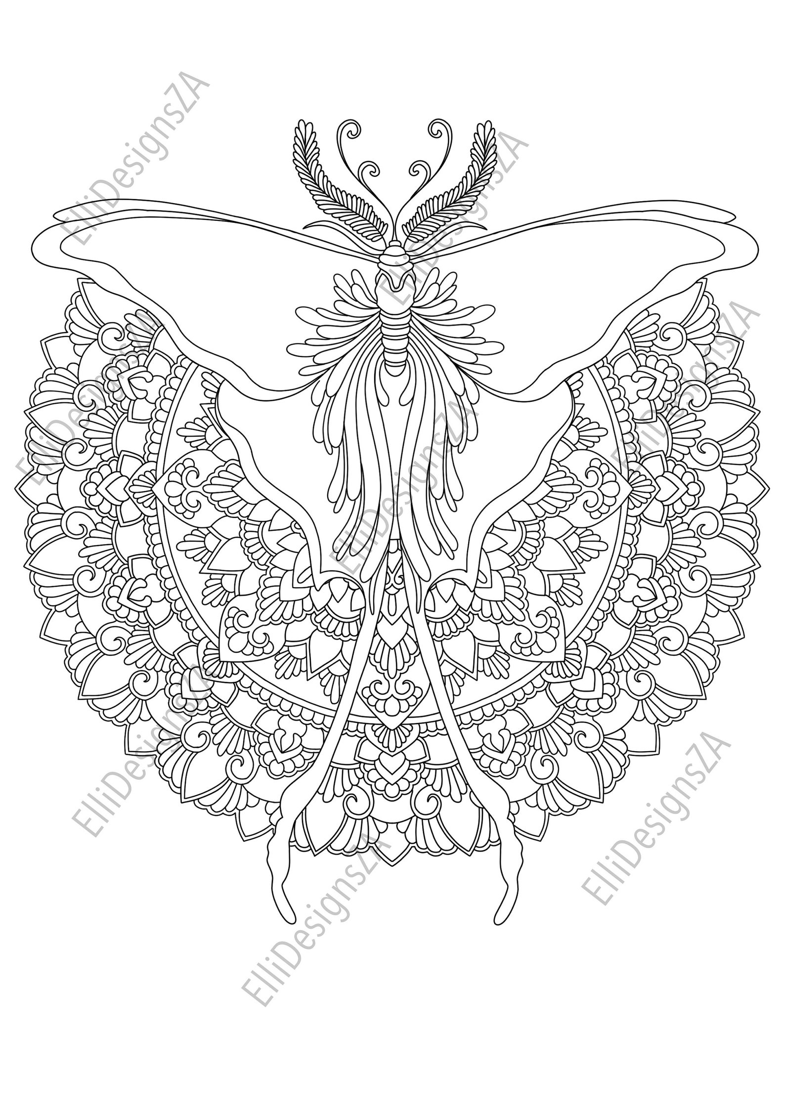 Mandala Moth Coloring Page - Etsy