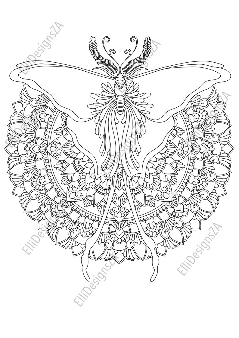 Mandala Moth Coloring Page - Etsy