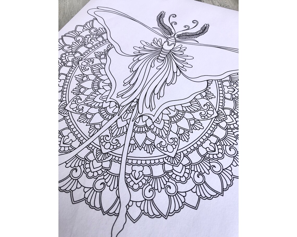 Mandala Moth Coloring Page - Etsy