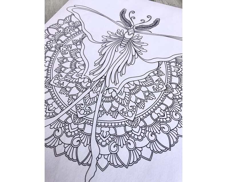 Mandala Moth Coloring Page - Etsy