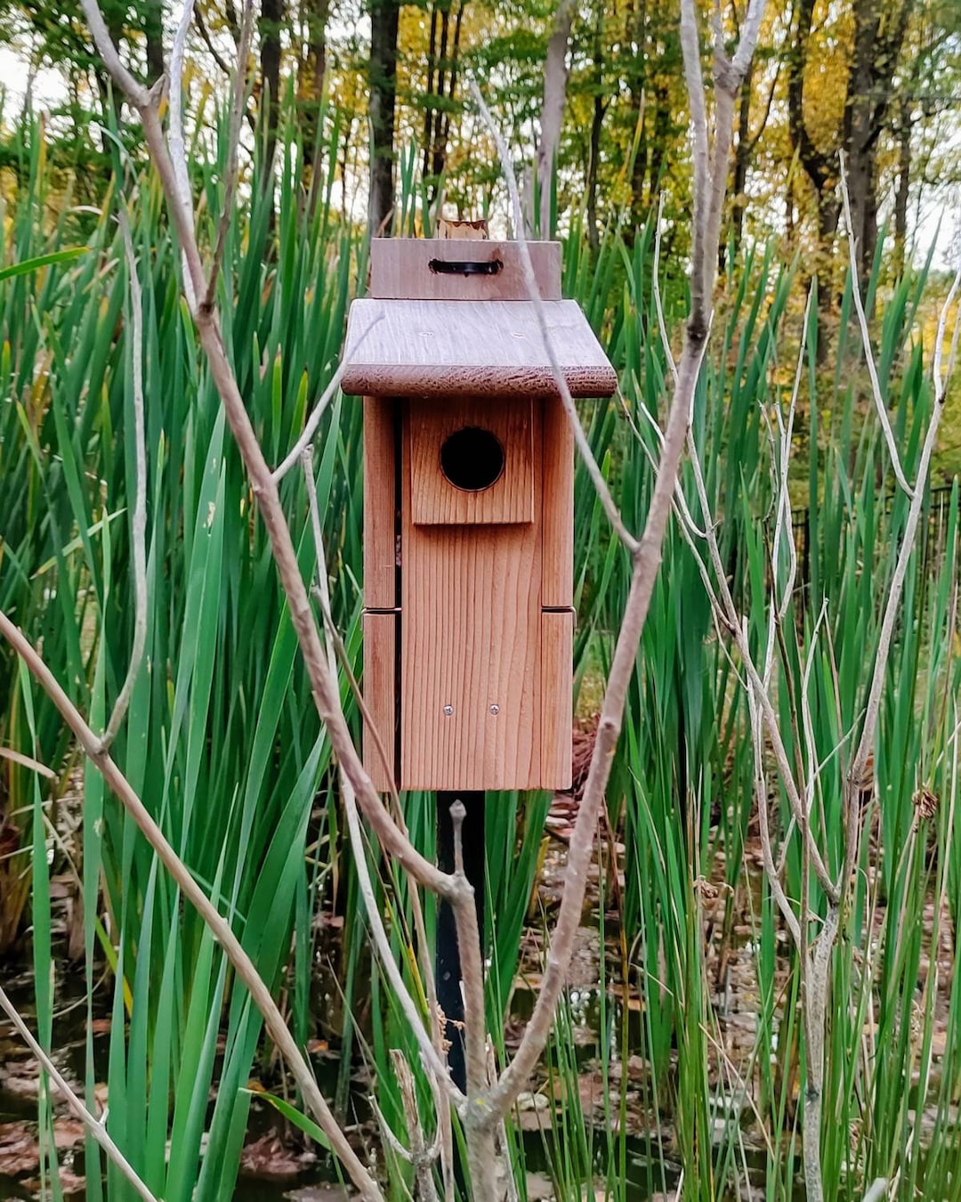 Bird House Photo Print - Nature Wall Decor, Fine Art Print, Bird Decor ...
