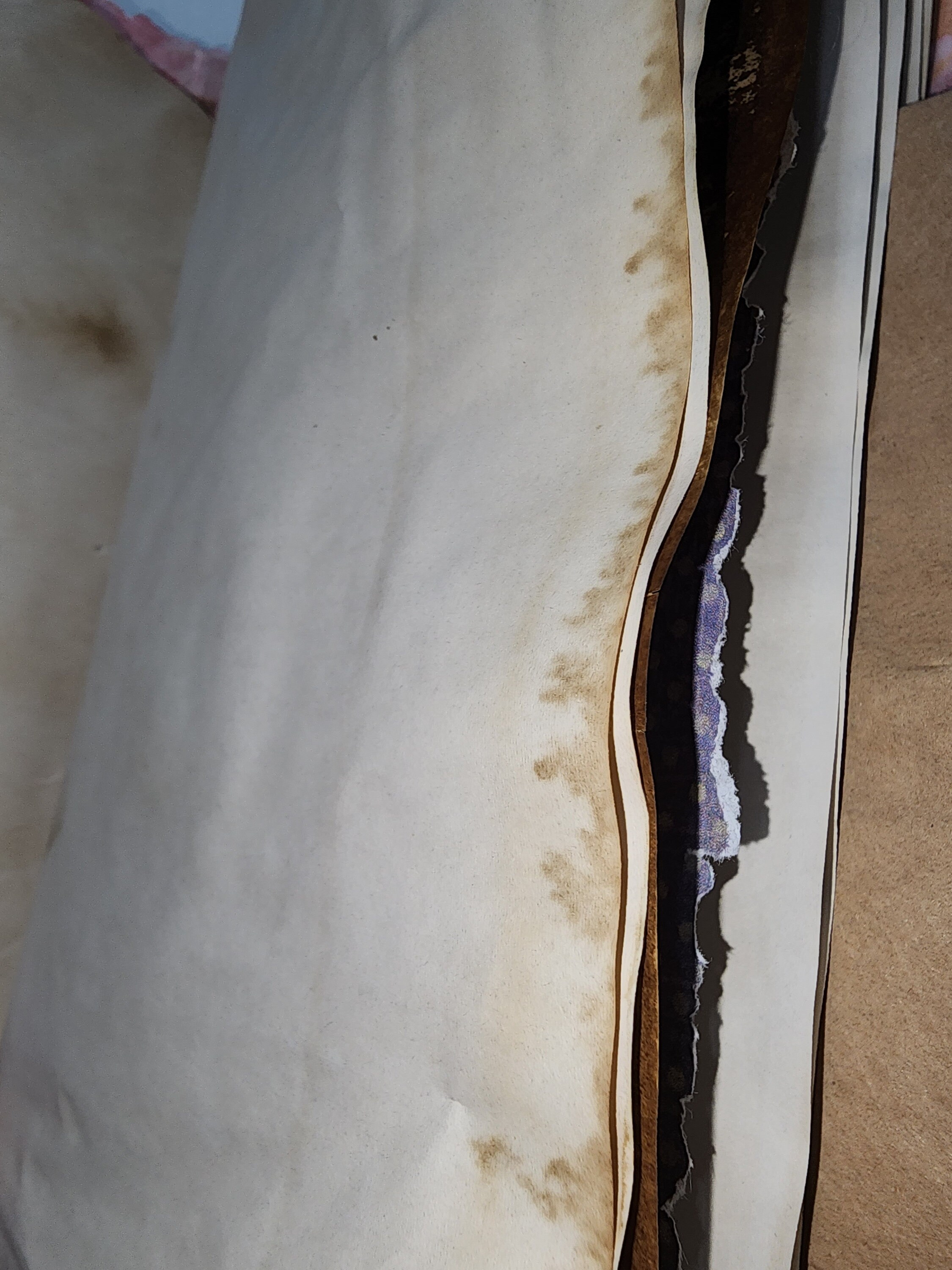 Wishy Washy Bath Journal - Etsy