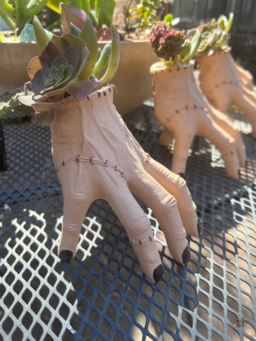 Spooky Addams Family Thing Planter Plant Decor With Echeveria - Etsy