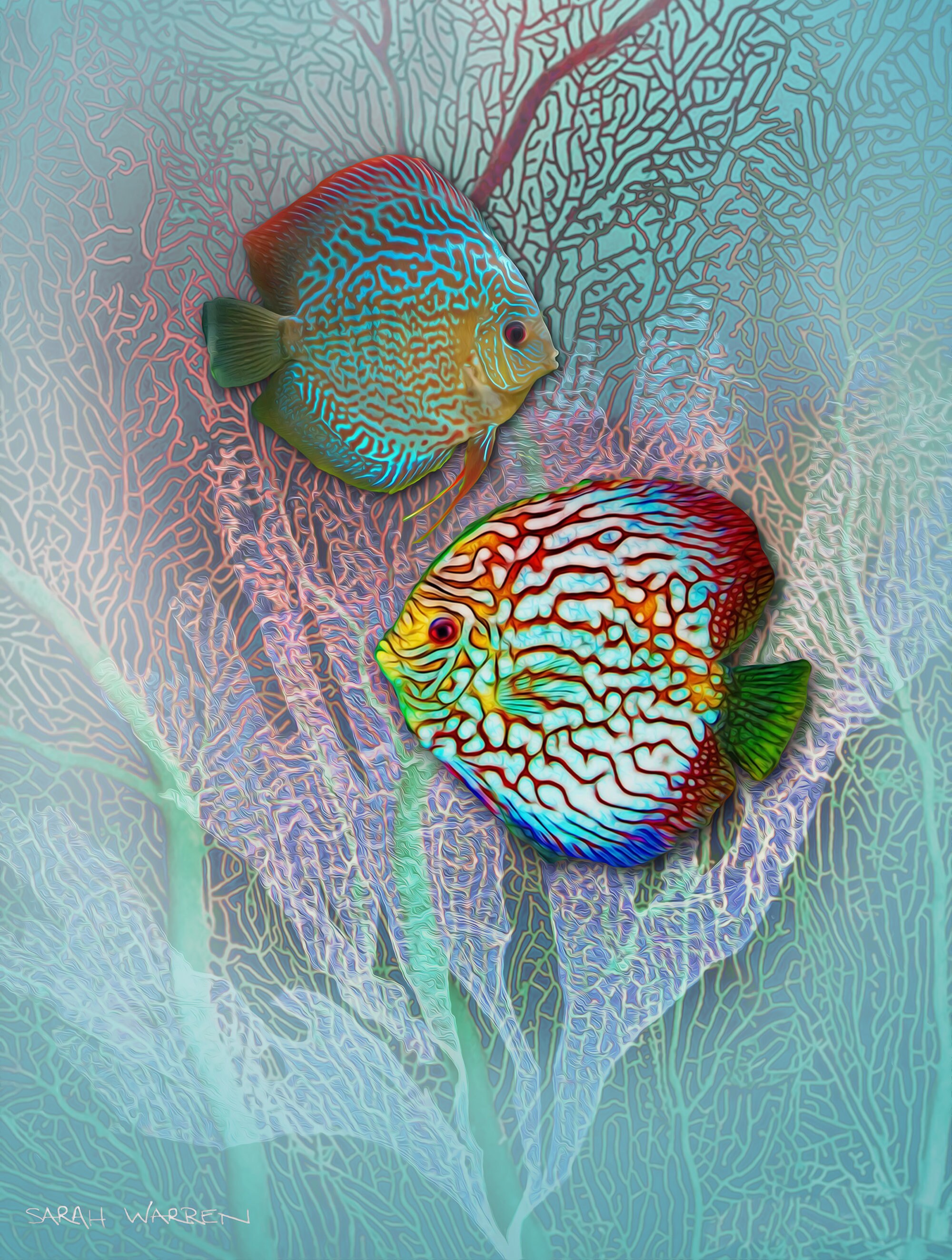 Art Print on Finest Watercolour Paper. Discus Fish, Tropical, Exotic ...