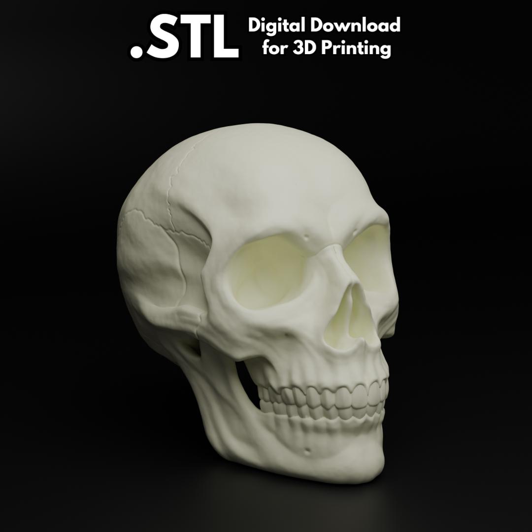 Human Skull STL FILES - Etsy