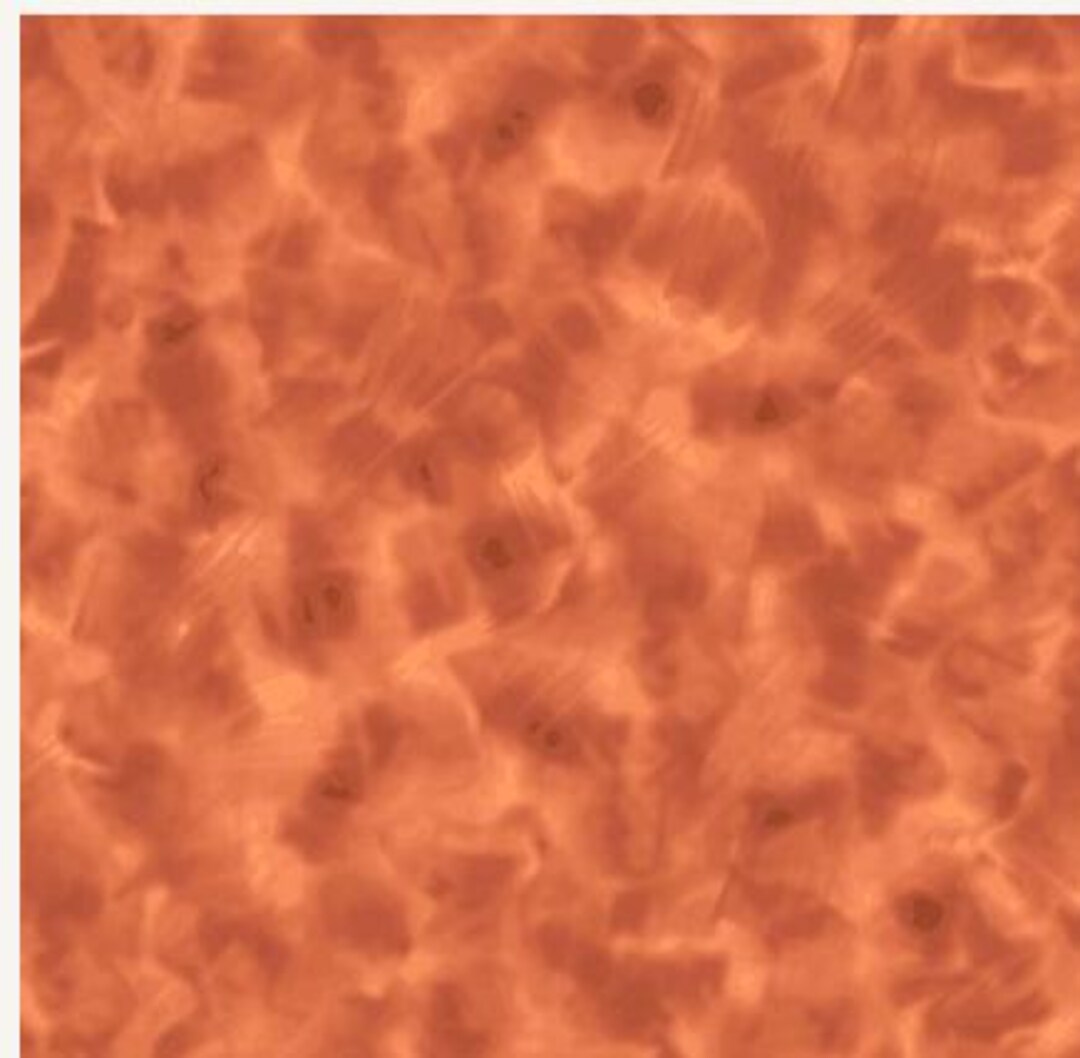 QT Fabrics Color Dance Blender in Tonal Rust Fabric by the Yard 1649 ...