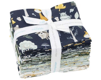 Riley Blake Designs It's a Boy 10 Inch Stacker by Echo Park Paper ...