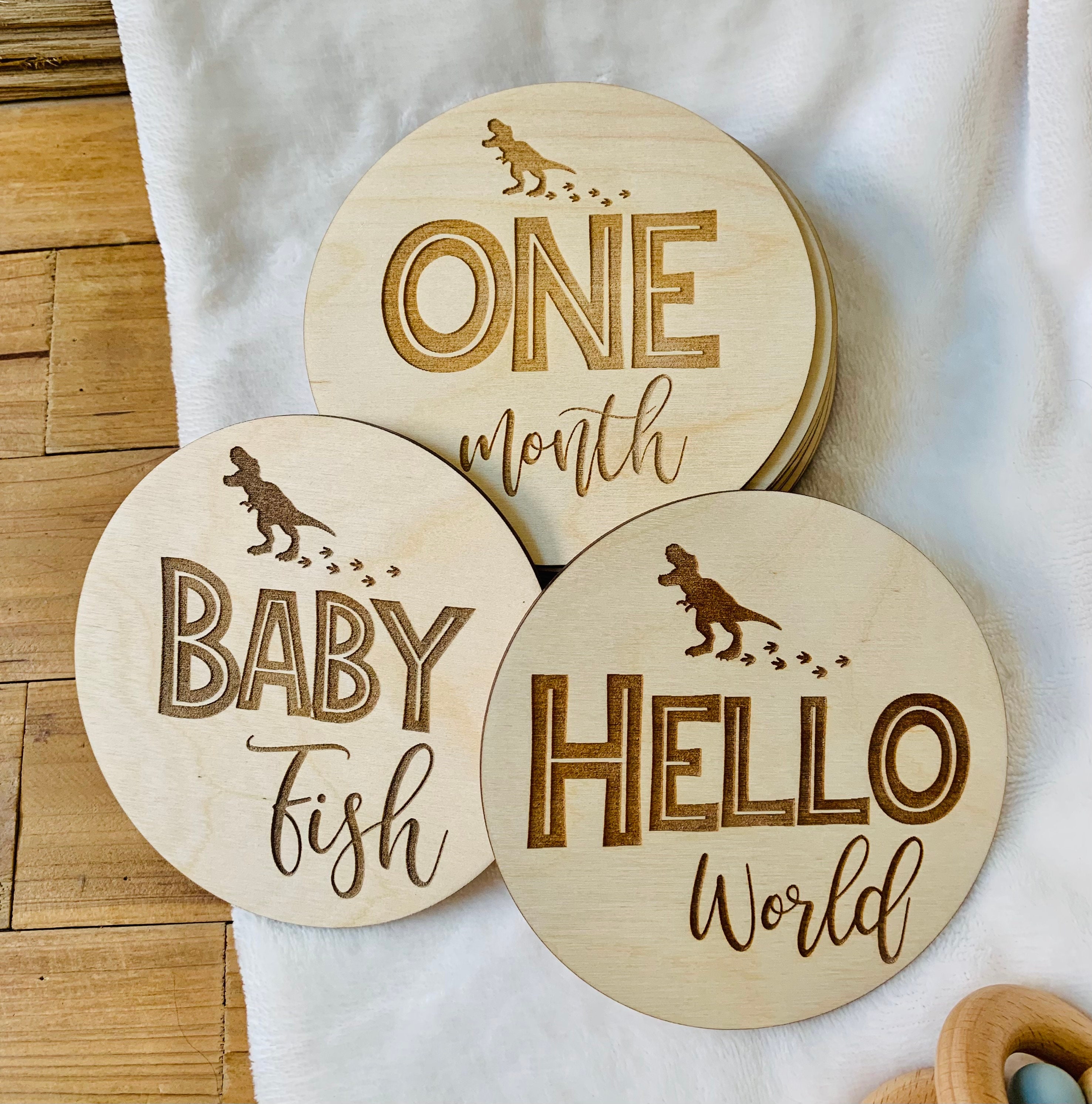 Baby Monthly Milestone Cards Dinosaur Baby Milestone Signs | Etsy