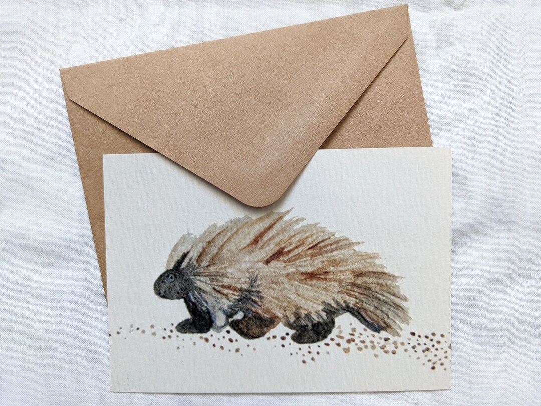 Watercolor Porcupine Print Notecards With Envelopes - Etsy