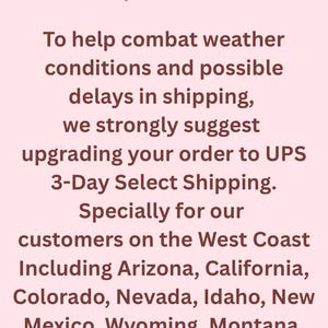 Weeping Blue Ginger – Dichorisandra Penduliflora 10 Inch Pot, Tropical ...