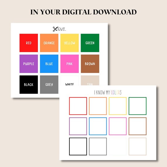 Color Sorting Preschool Activity Sheet Color Matching | Etsy