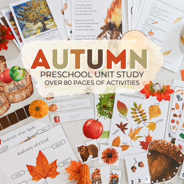 Preschool Curriculum - Etsy