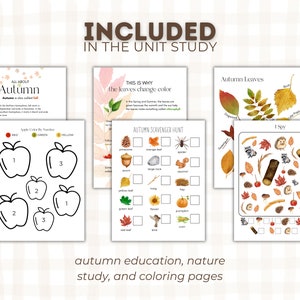Autumn Preschool Unit Study | Fall Pre-k Printable Curriculum, Autumn ...